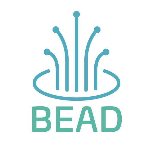 BEAD Grant Program